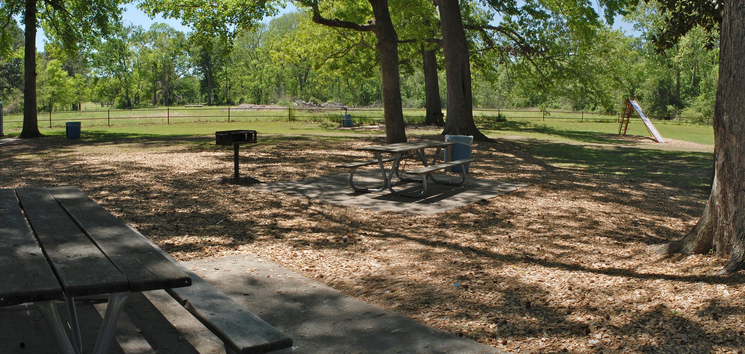 Locations Hub - Matthews Street City Park