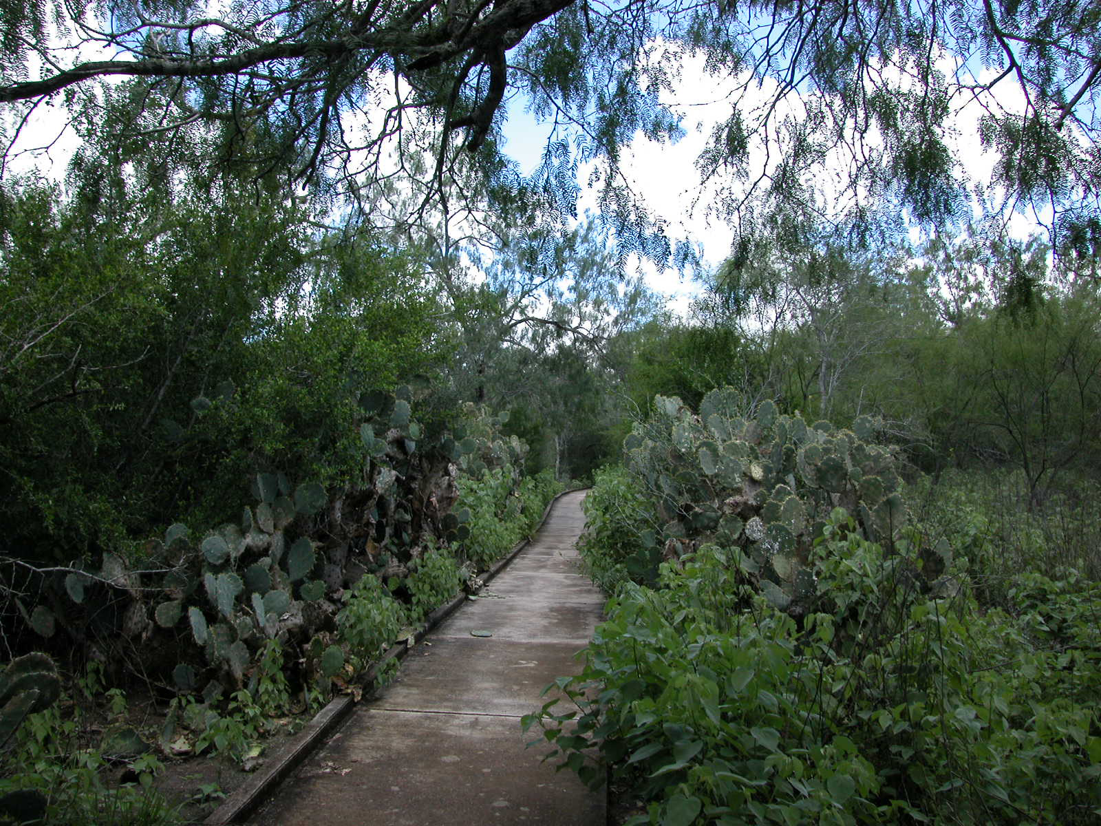 Locations Hub - Santa Ana National Wildlife Refuge - Trail