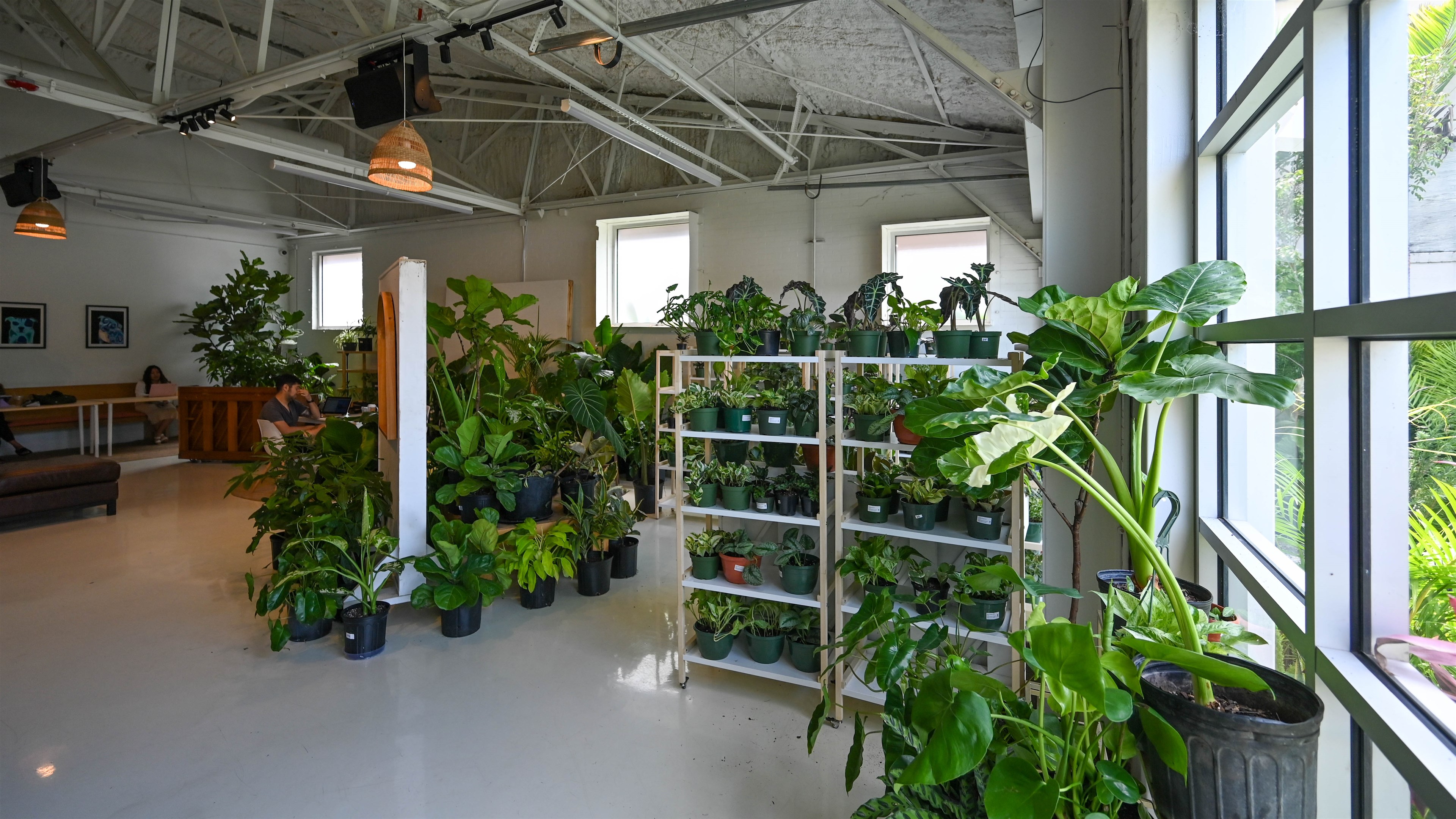 Locations Hub - Eden Plant Co.