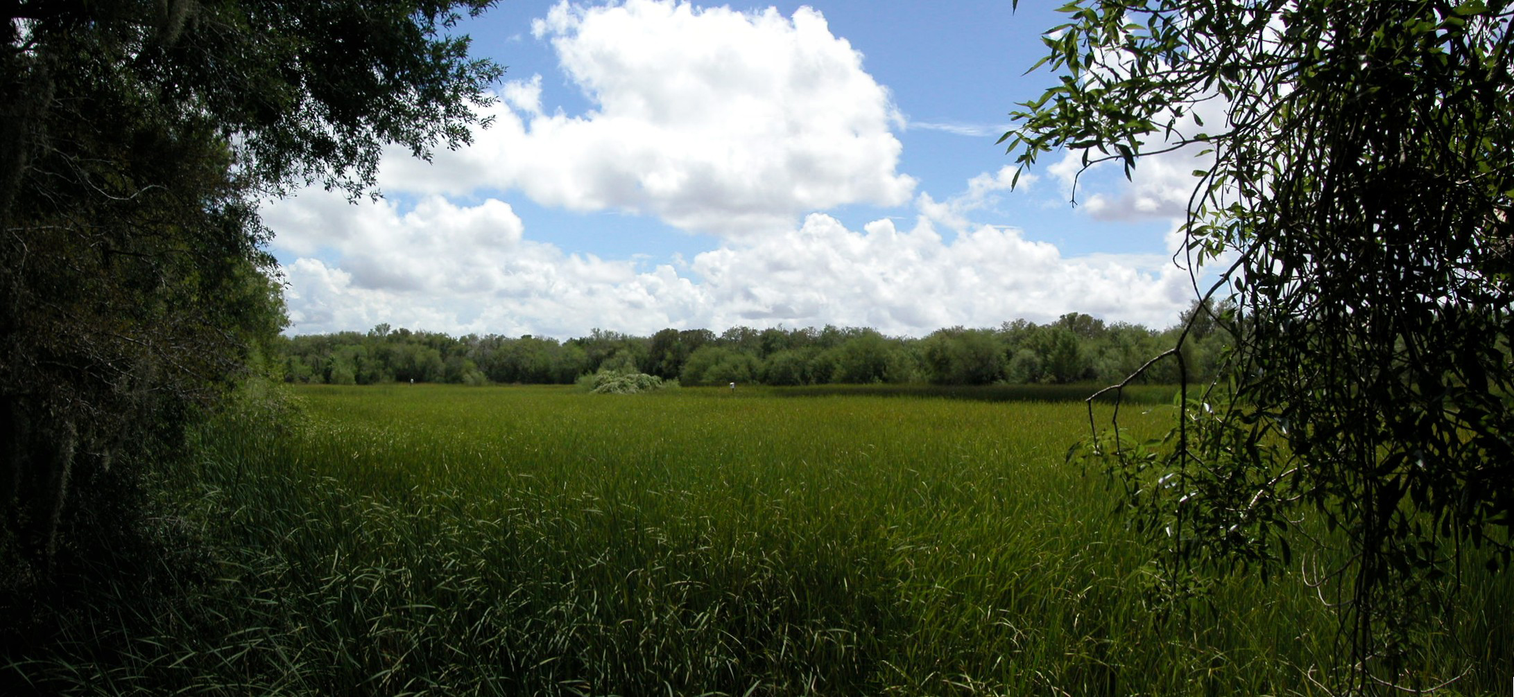 Locations Hub - Santa Ana National Wildlife Refuge - Trail