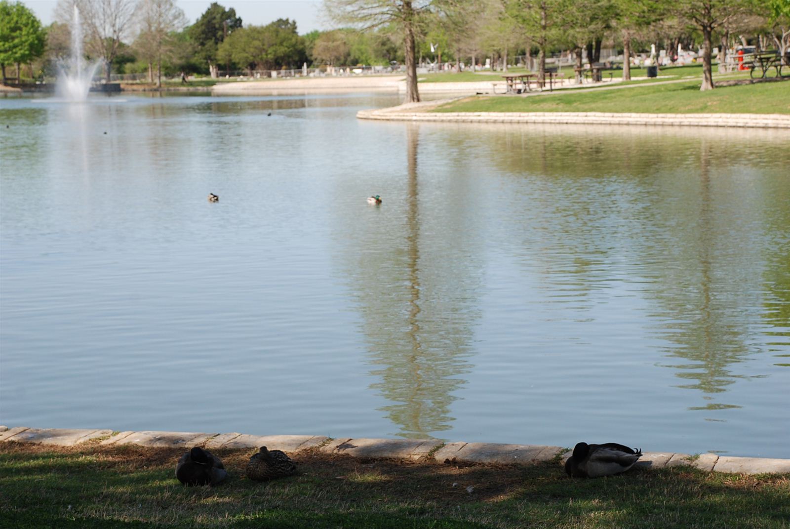 Locations Hub - City Lake Park